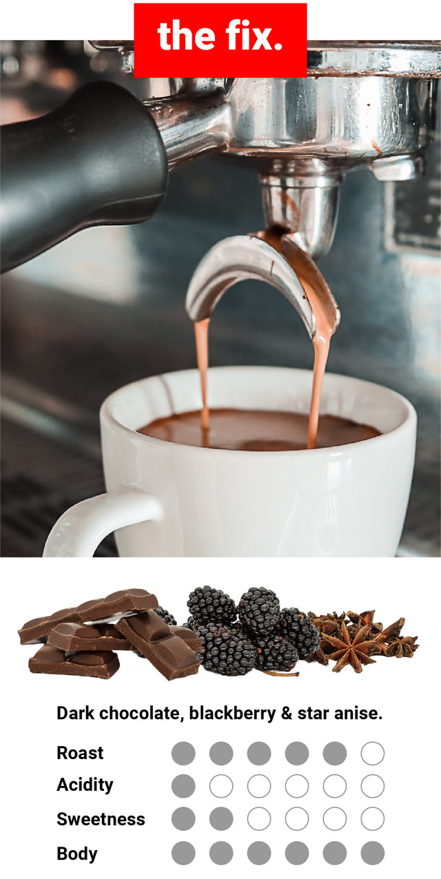 Coffee Beans – Artisti Coffee Roasters